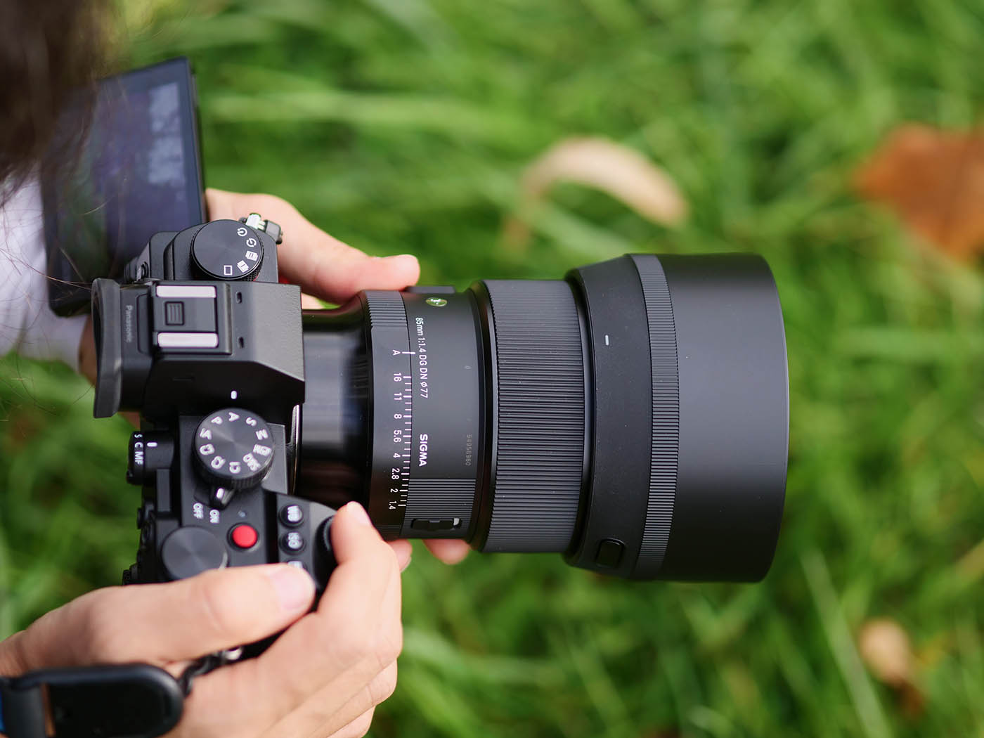 Sigma 85mm f1.4 DG DN Art : test terrain et avis - Blog Photo Lumix