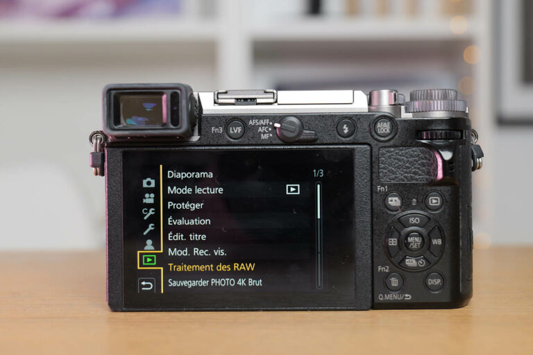 Comment traiter les RAW Lumix gratuitement ? - Blog Photo Lumix