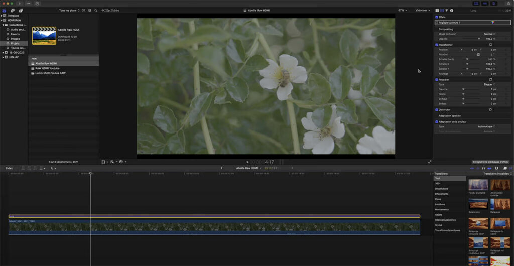 Filmer une vidéo RAW : pour quoi faire ? Avantages & inconvénients ...