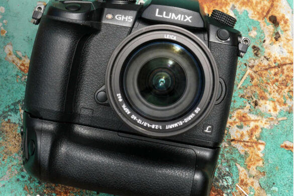 Lumix 30mm f2.8 : une focale fixe macro bluffante - Blog Photo Lumix