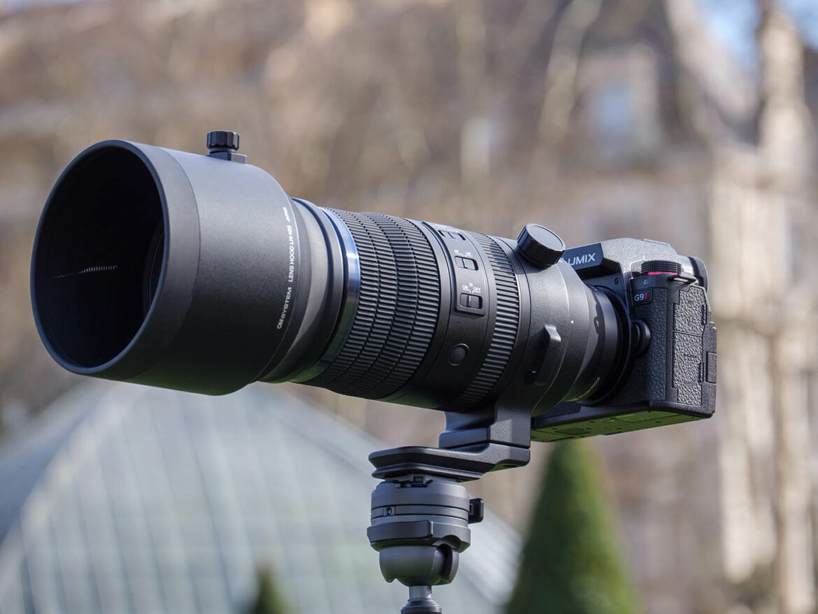 OM System 150-600mm f5-6.3 : le téléobjectif le plus puissant ! - Blog ...