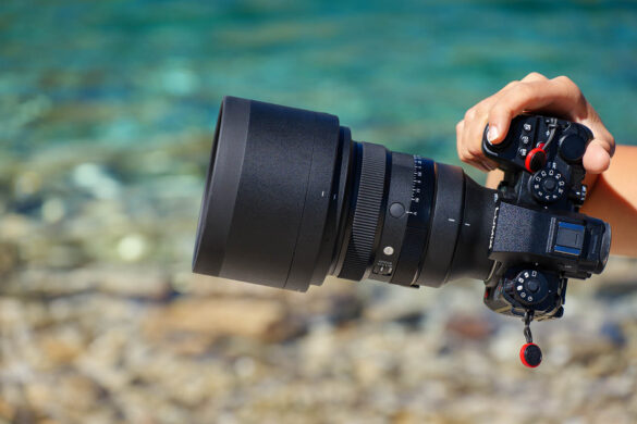 Sigma 60-600mm f4.5-6.3 DG DN Sports : le test terrain - Blog Photo Lumix